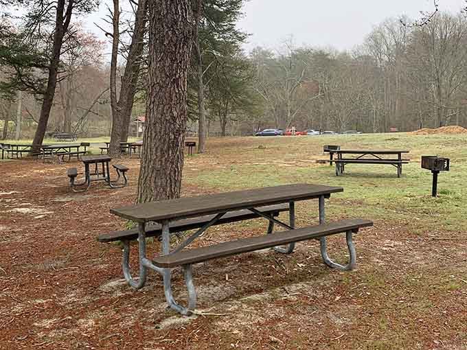 Pack that picnic lunch because the nearest drive-through is definitely not within walking distance from here, friend.