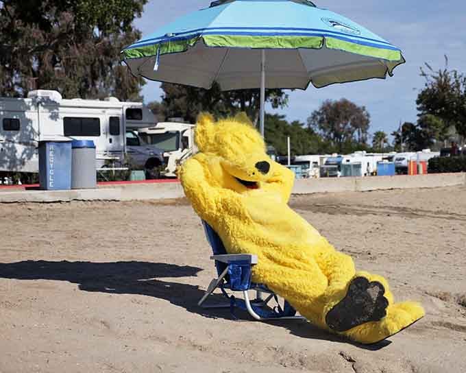 Their mascot knows how to relax properly, umbrella and beach chair included for maximum lounging.