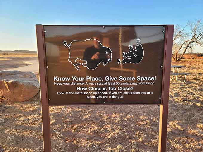 This sign's advice about bison distance is basically saying: admire from afar, or become a cautionary tale.