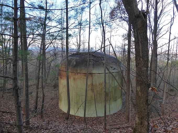 That mysterious old tank in the woods adds a touch of history to your nature walk.