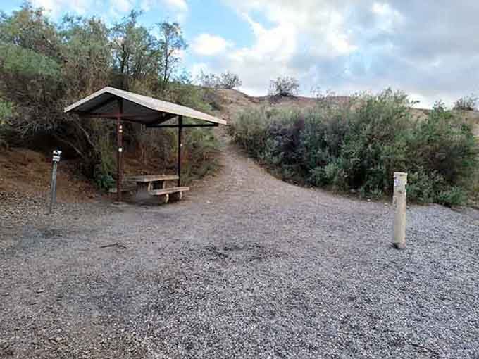 Your own shaded sanctuary awaits, complete with a front-row seat to nature's greatest show on the lake.