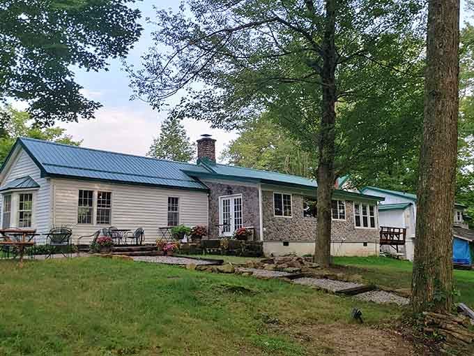 Blind Squirrel Winery sits peacefully among trees, proving that finding great wine doesn't require fancy Napa addresses.