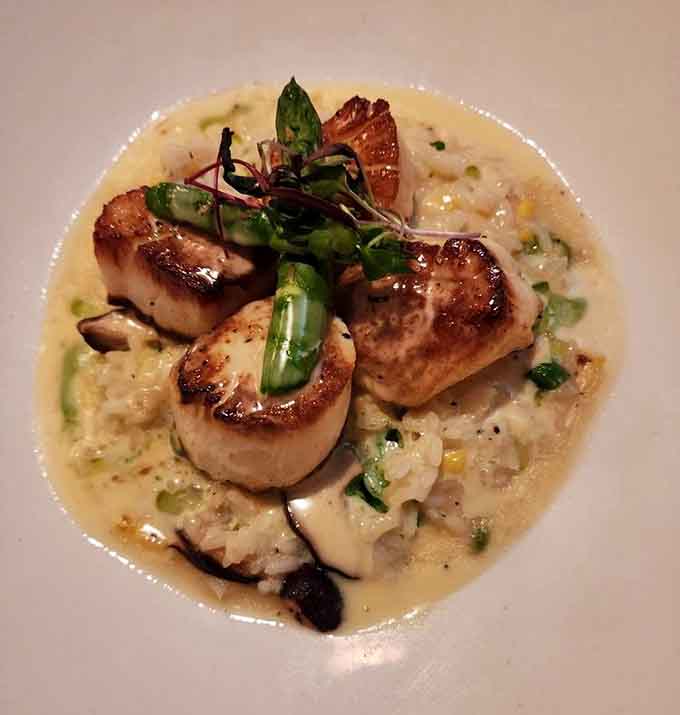 Scallops this perfectly seared sitting on risotto prove that seafood excellence knows no geographic boundaries in skilled hands.