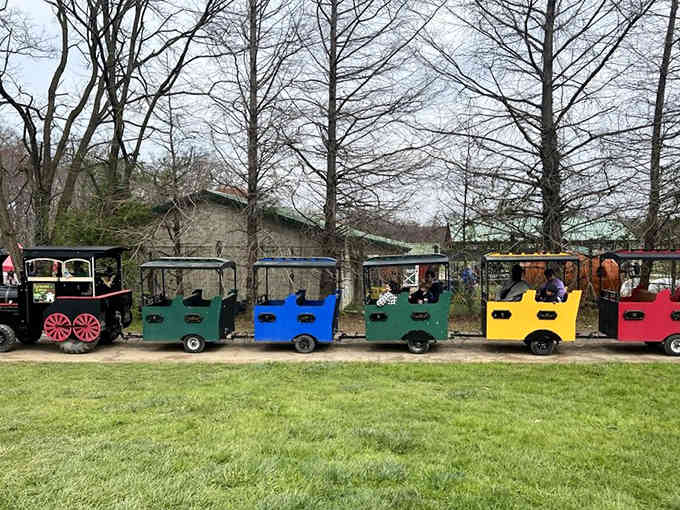 The Enchanted Express chugs along in cheerful primary colors, each car packed with passengers living their best nostalgic lives.