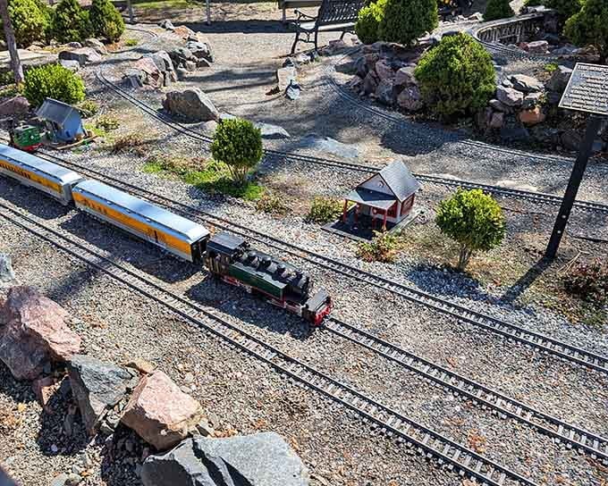 Garden railways prove that train enthusiasm knows no size limits, just pure dedication to tiny perfection.