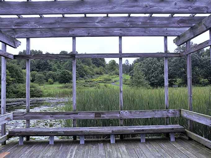 Weathered wood frames tranquil pond views, creating the perfect spot for meditation or daydreaming about retirement.