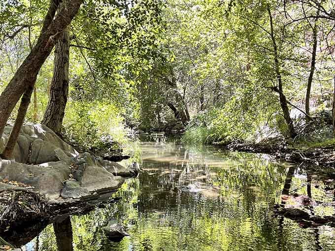 Coyote Creek meanders peacefully through the area, offering additional spots to cool off and explore.