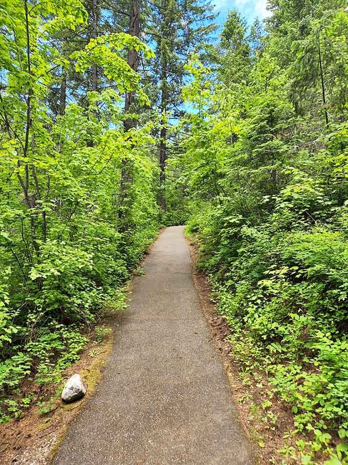 This peaceful trail through the forest is your warm-up before descending into the cool underground chambers ahead.