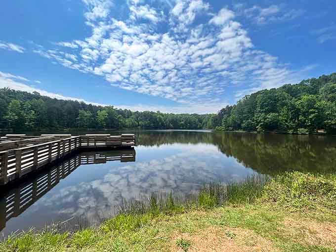 The fishing dock extends into calm waters where patience and a good rod might land tonight's dinner bragging rights.