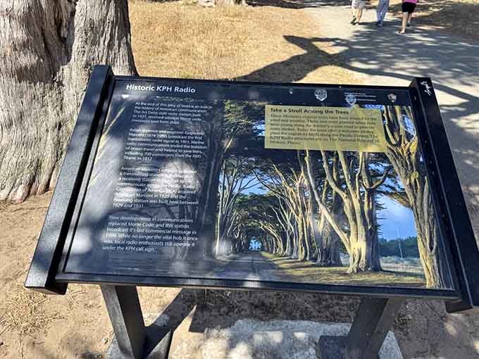 Historical markers that actually make you want to read them &ndash; a rare achievement in signage.