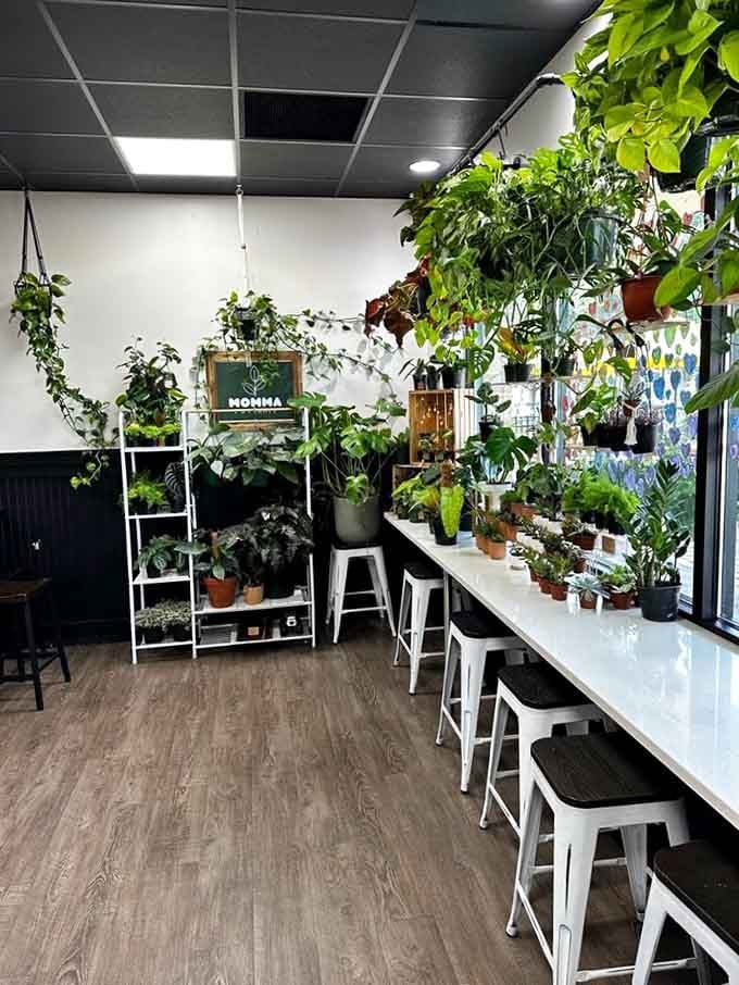 Greenery everywhere creates an oasis vibe, proving that doughnuts and houseplants make surprisingly compatible roommates in paradise.