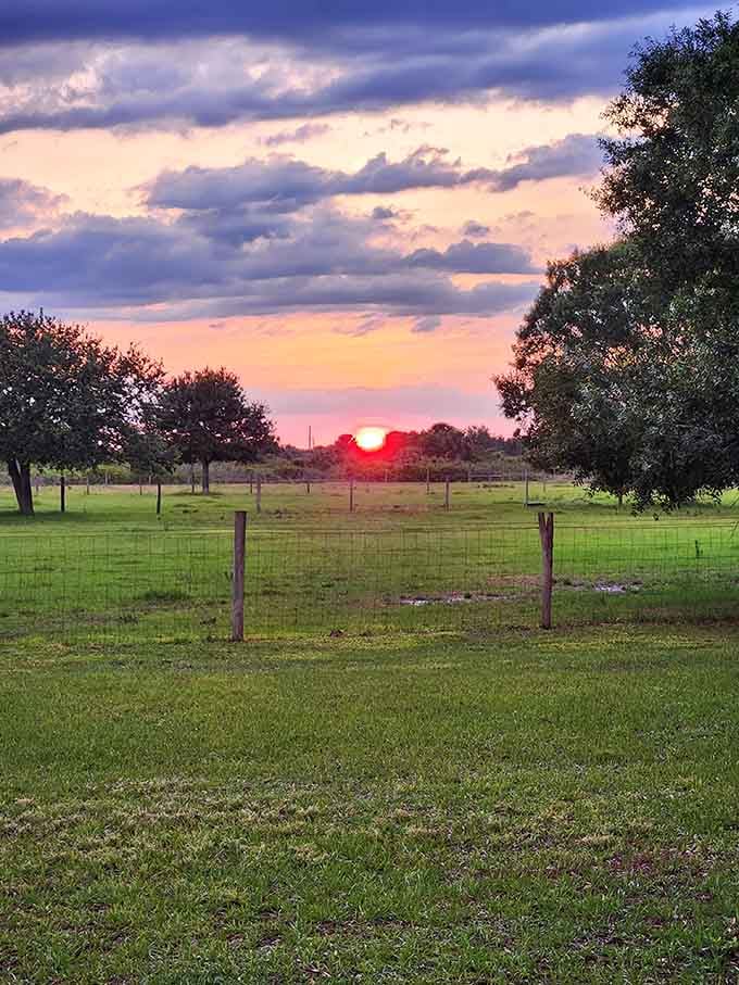 Sunsets this spectacular should require a ticket, but here they're included with your stay every single evening.