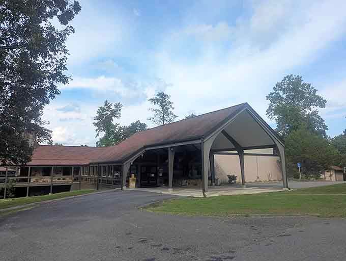 The lodge provides a comfortable home base for adventurers who prefer their nature with a side of actual beds.