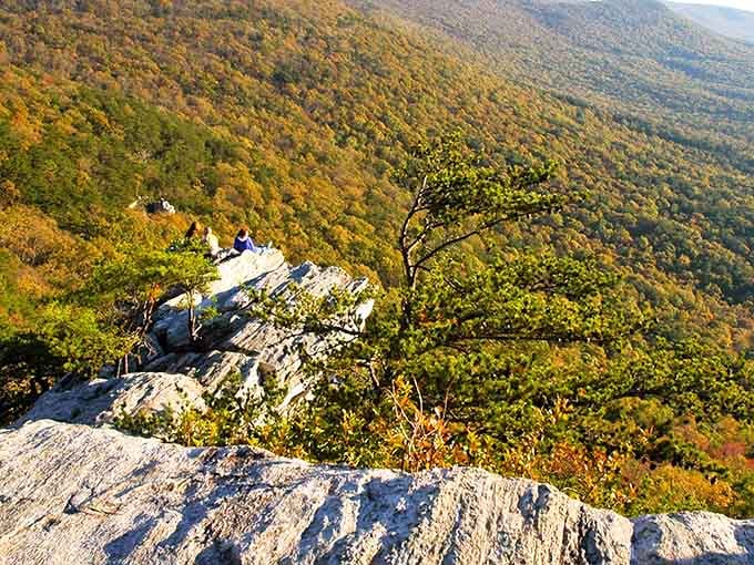 The view from this rocky outcrop stretches endlessly, proving Alabama's mountains deserve more respect than they get.
