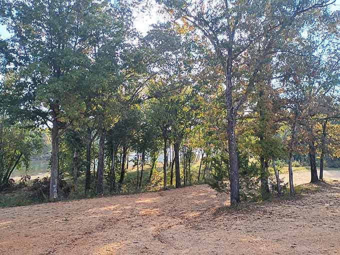 Mabrey Park's wooded camping spots offer the kind of peaceful retreat that makes you question your attachment to WiFi.