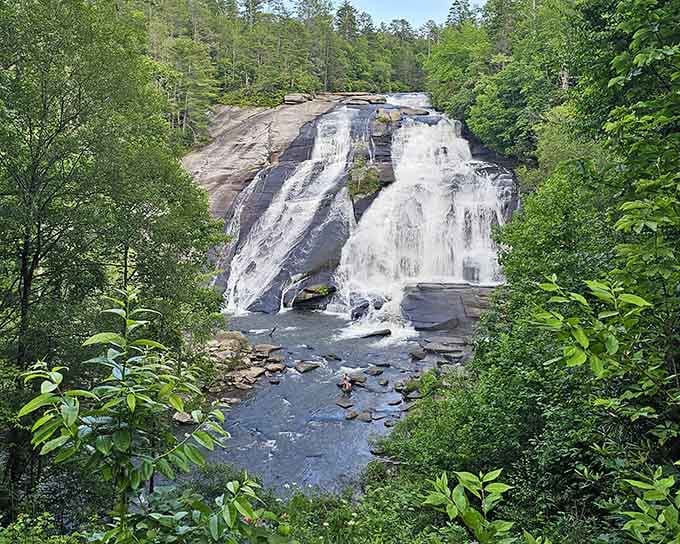 Tucked between verdant trees, this cascade flows with quiet dignity, proving that waterfalls don't need height to have presence.