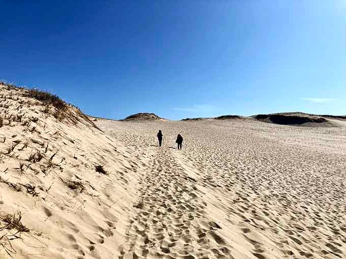 Two figures climbing endless dunes proves that some workouts come with significantly better views than gyms.