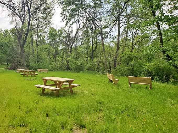 Picnic tables waiting patiently in the grass, ready for families who still remember how outdoor gatherings actually work.
