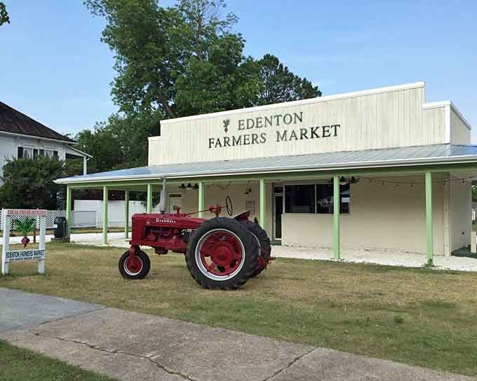 Edenton Farmers Market sits ready with that vintage tractor, because nothing says fresh produce like agricultural nostalgia.