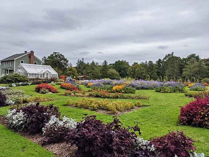 The ornamental garden showcases intricate patterns and color combinations that would make any landscape designer weep with professional jealousy.