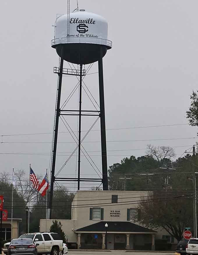 The water tower proudly declares "Home of the Wildcats," because every town needs something to rally around.