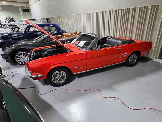That Mustang convertible is why they invented the phrase "American muscle" and sunny Sunday afternoon drives.
