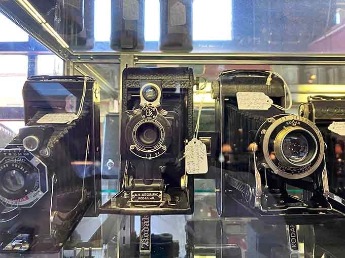 Vintage cameras lined up like soldiers, ready to capture memories the old-fashioned way, with actual film.