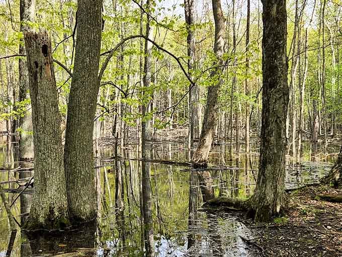 Nature preserves near the village provide peaceful trails where the only traffic you'll encounter has feathers or fur.