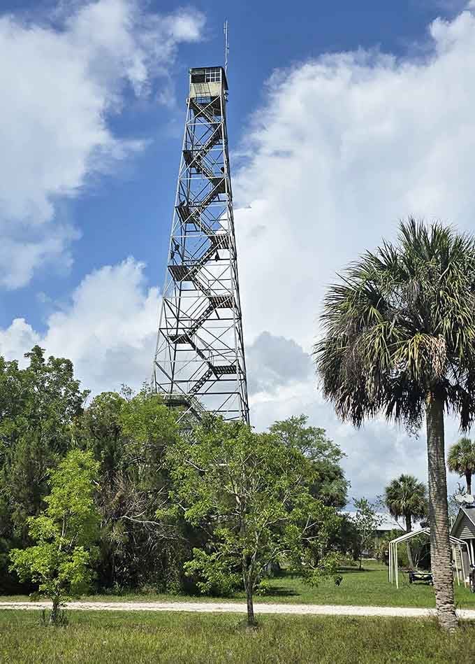 This fire lookout tower offers panoramic views that'll make you forget every complaint about climbing all those stairs.