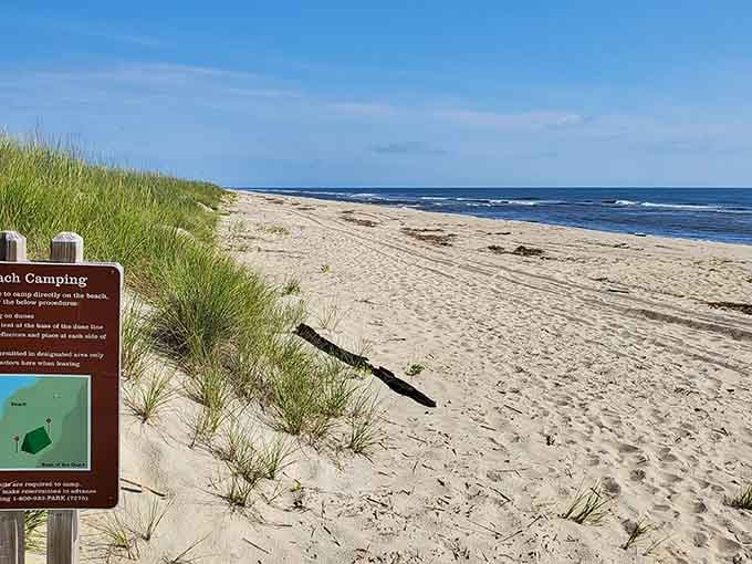 Miles of untouched sand and sea grass create the kind of beach scene that existed long before condos became a thing.