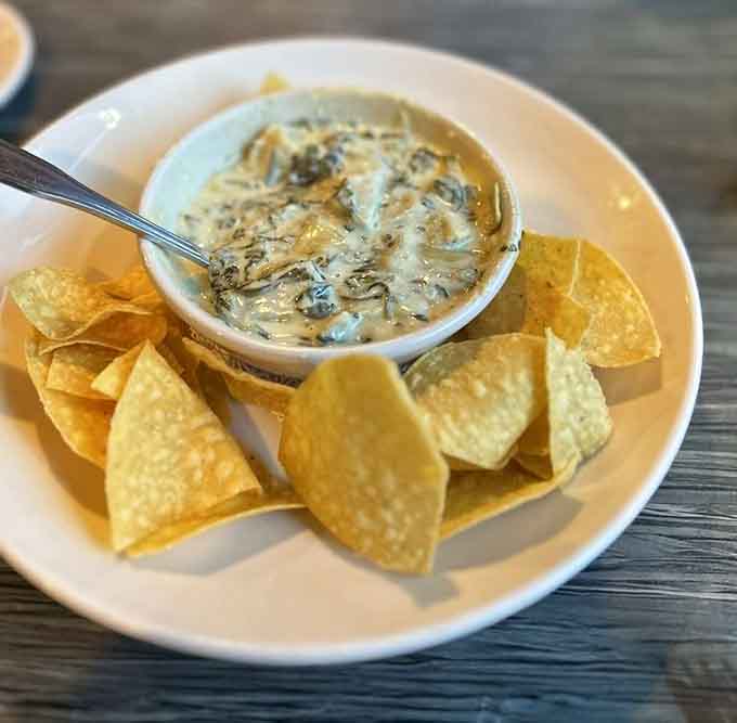 Spinach and artichoke dip with tortilla chips, proving that some classics transcend geography and work anywhere, even waterfront Massachusetts.