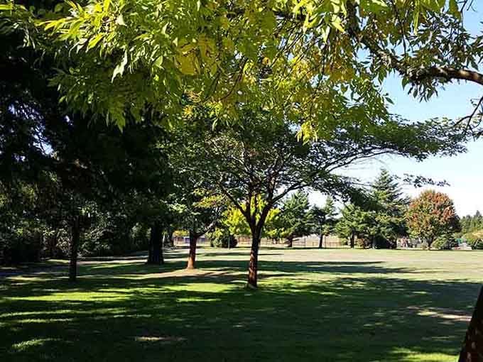 Park space so green and peaceful you'll forget what traffic jams even feel like anymore.
