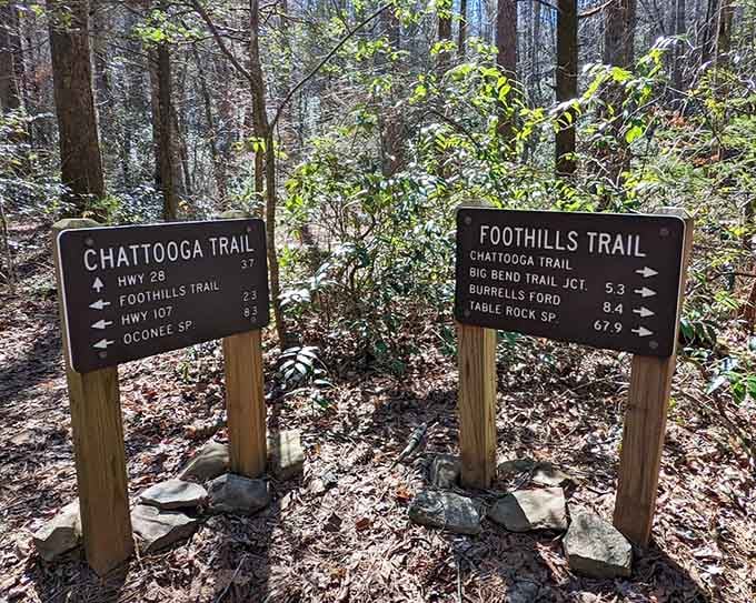 These trail markers are your new best friends, pointing you toward adventures you'll be talking about for years.