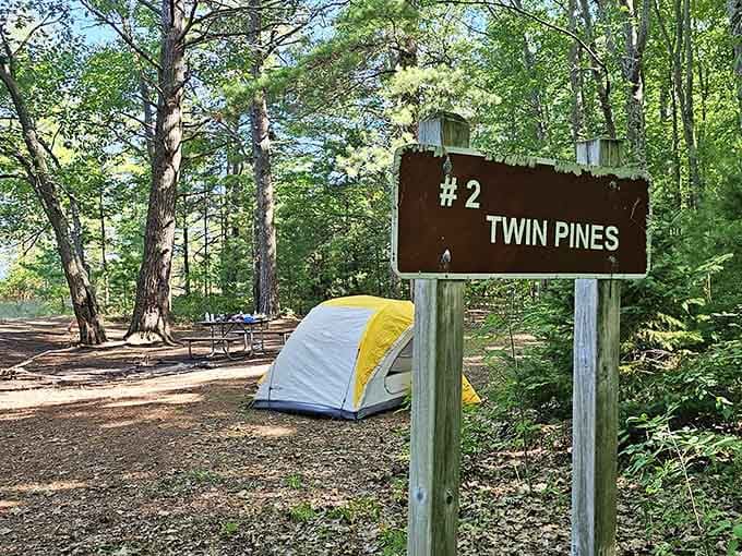 The Twin Pines campsite offers accommodations that five-star hotels can't match: complete silence and a billion-star ceiling view.