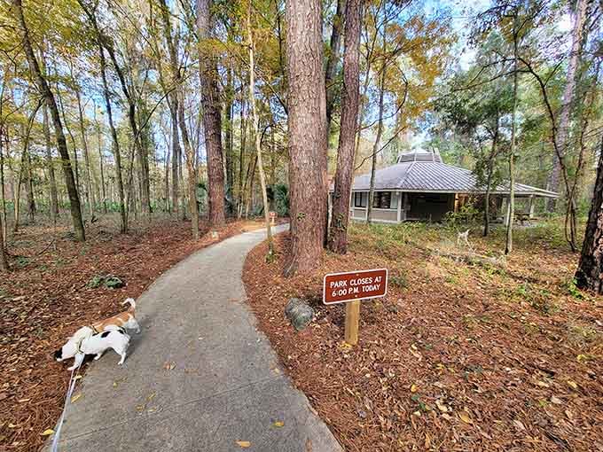 Devil's Millhopper's trails wind through a geological wonder that's been forming for thousands of years naturally.