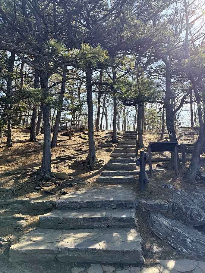 Stone steps lead upward through pine groves, making the climb feel almost ceremonial and purposeful.