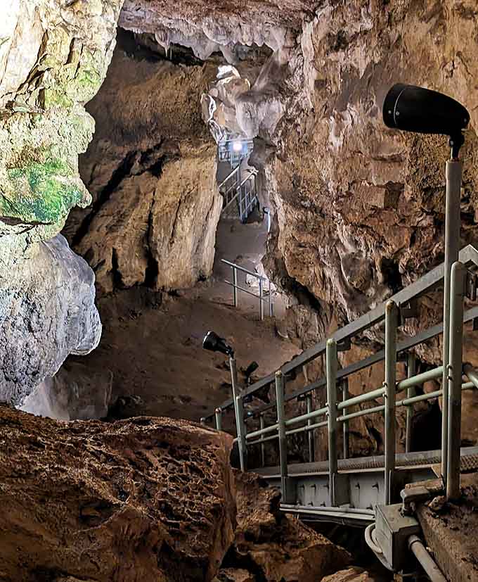 Metal walkways wind through chambers where stalactites hang overhead like nature's own elaborate chandelier collection gone wonderfully wild.