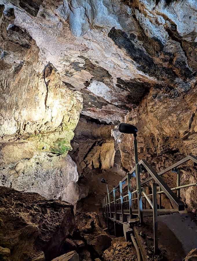 The cavern passage stretches into shadow, inviting explorers deeper into chambers carved by persistent water and endless time.