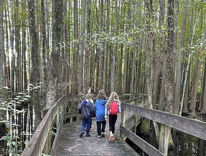 The boardwalk lets families explore the swamp together, getting up close with nature while keeping everyone's feet nice and dry.