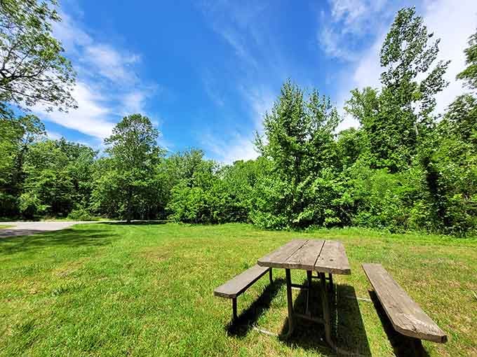 A solitary picnic table invites quiet contemplation or a well-earned sandwich after conquering those trails.