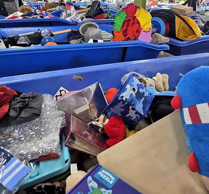 Dedicated treasure hunters sort through bins with practiced efficiency, knowing patience yields the best rewards here.