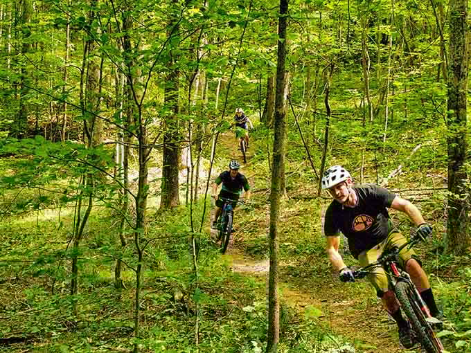 Mountain biking through these lush green trails beats any gym membership, plus the scenery actually changes and inspires you.