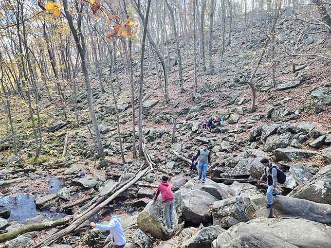 Families navigating the boulder-strewn trails together, creating memories that'll outlast any theme park photo op by decades.
