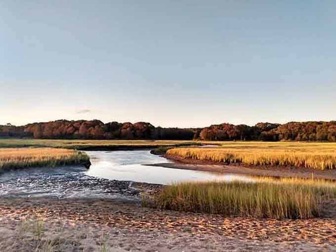 The tidal marsh at sunset transforms into a watercolor painting that Bob Ross would absolutely approve of.