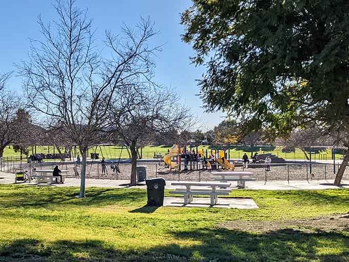 Green grass, playground equipment, and open space where kids can actually be kids without reservation fees.