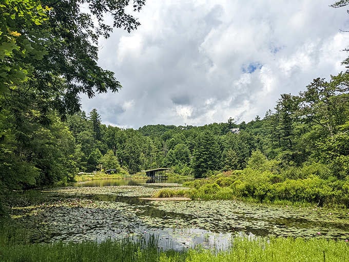 Highlands, North Carolina offers a peaceful pond scene, lily pads floating, forest surrounding, and that refreshing mountain calm you didn&rsquo;t know needed.