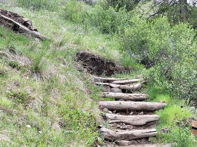 Even the pathway to your hobbit hole adventure feels like something from a storybook come to life.