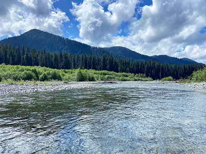 Crystal-clear glacial water rushing past, carrying stories from Mount Olympus down to the waiting Pacific Ocean below.