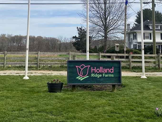 The Holland Ridge Farms sign welcomes you to what might be New Jersey's most colorful secret, hiding in plain sight off the highway.