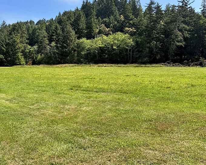 Wide open fields give you room to breathe, play, and remember why the outdoors matters so much.